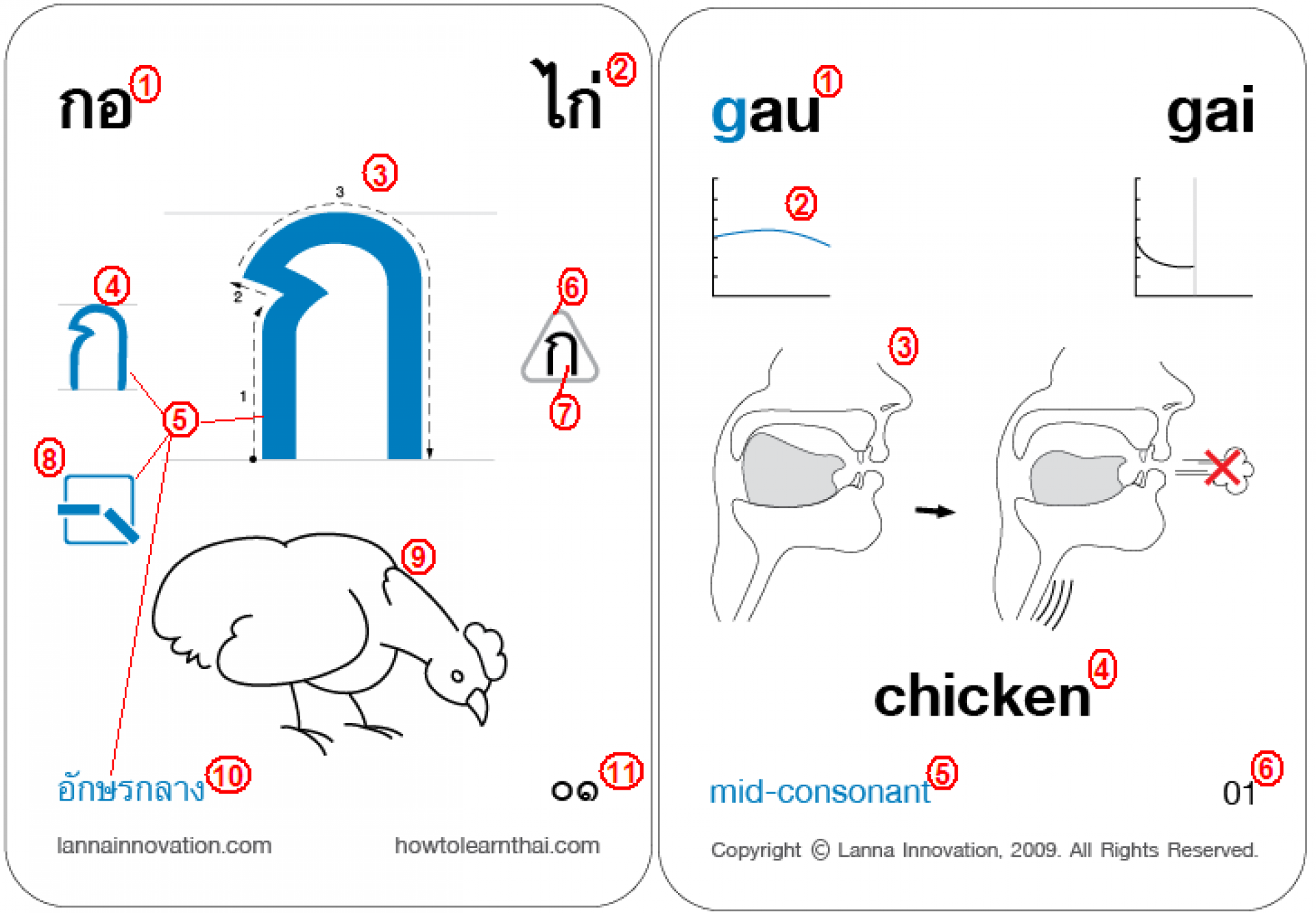 How the cards work